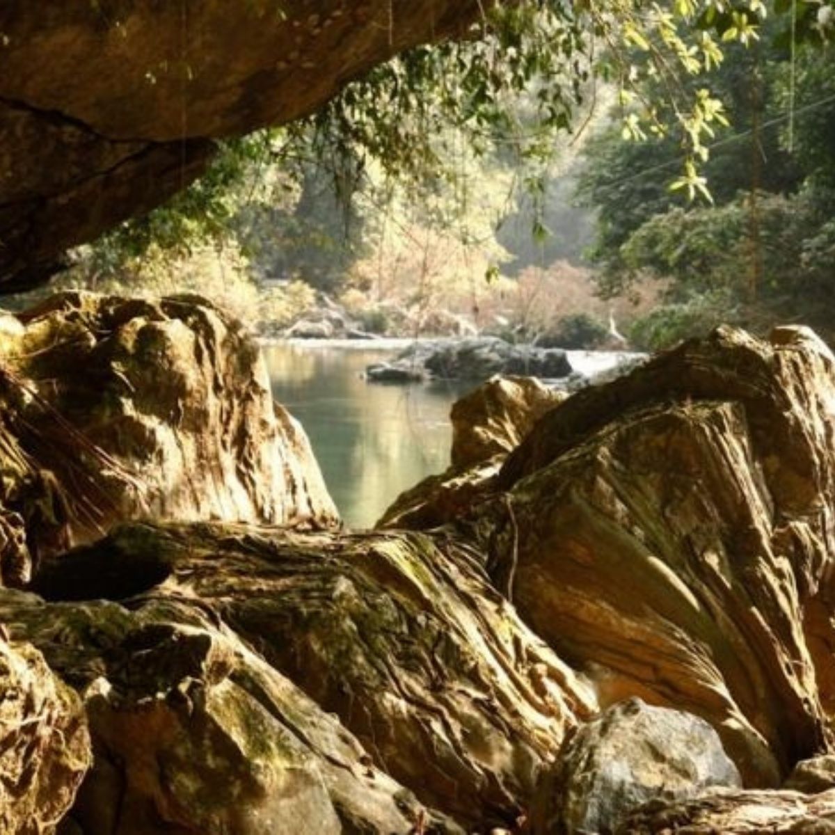 Aventuras extremas en Río Claro | Frontera Travel